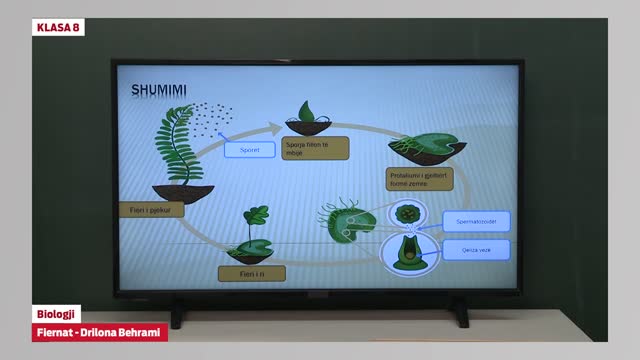 Klasa 8 - Biologji - Fiernat | GjirafaVideo