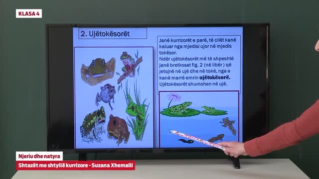 Klasa 4 - Njeriu dhe natyra - Shtazët me shtyllë kurrizore | GjirafaVideo