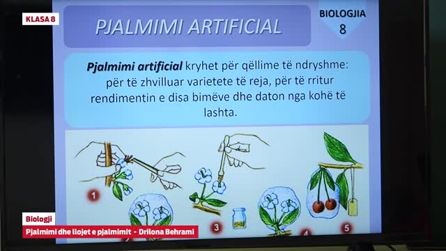 Klasa 8 - Biologji - Pjalmimi dhe llojet e pjalmimit | GjirafaVideo